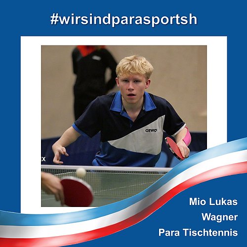 Neuigkeiten: RBSV S.-H.